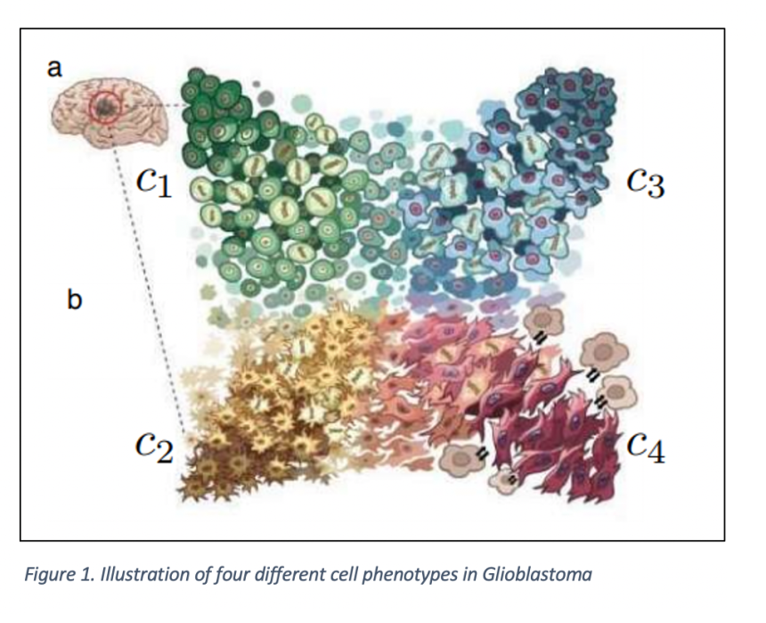 Cancer Ecosystems and how to collapse them | Health Science Reviews