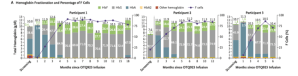 CRISPR-Cas9 Editing of the HBG1 and HBG2 Promoters to Treat Sickle Cell ...